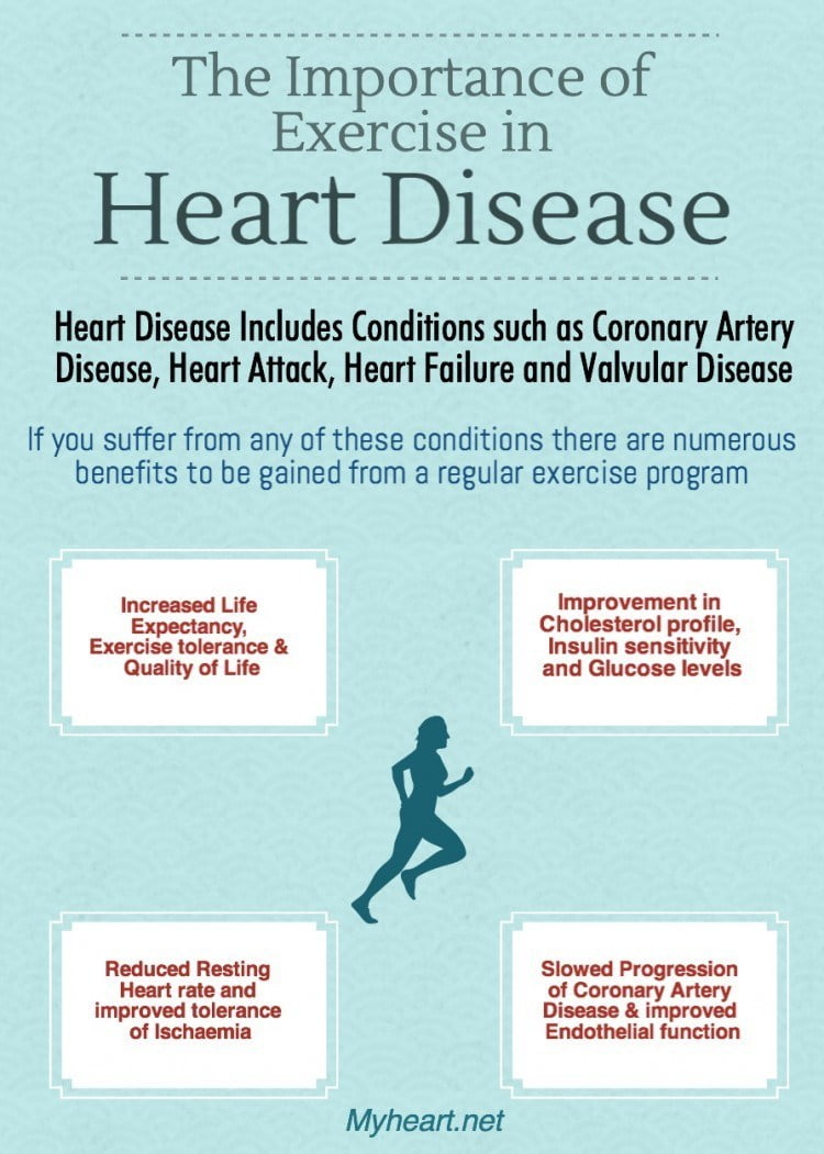 Why Is Physical Activity So Important In Preventing Heart Disease why-is-physical-activity-so-important-in-preventing-heart-disease