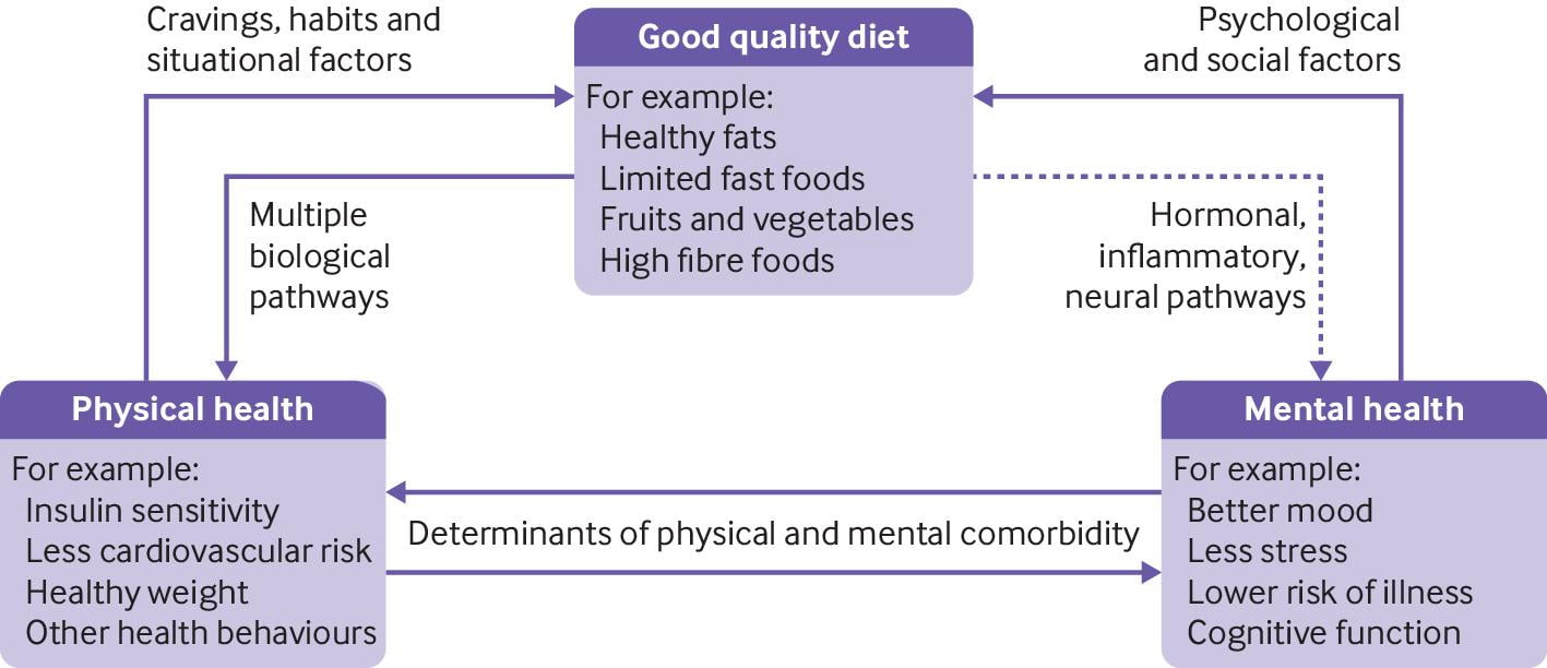 How Diet And Nutrition Affect Mental Health? - Corner Tribune